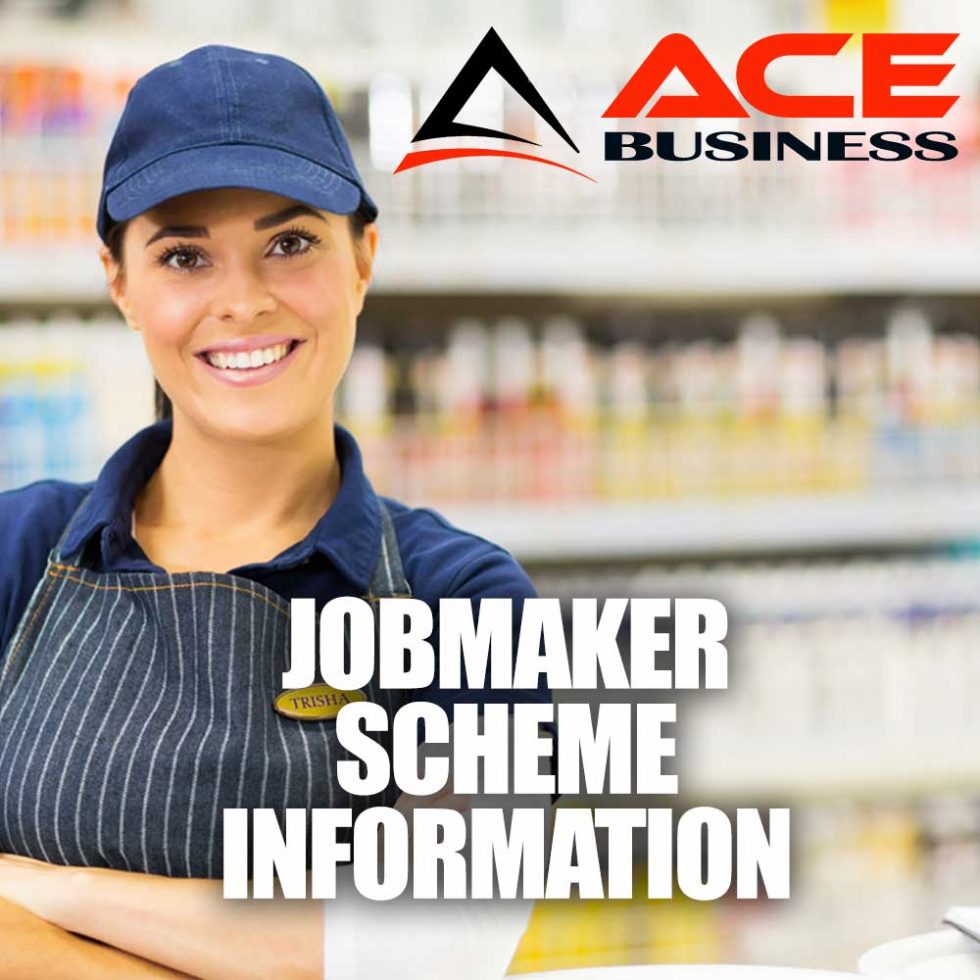 JobMaker Scheme Explained - Ace Business
